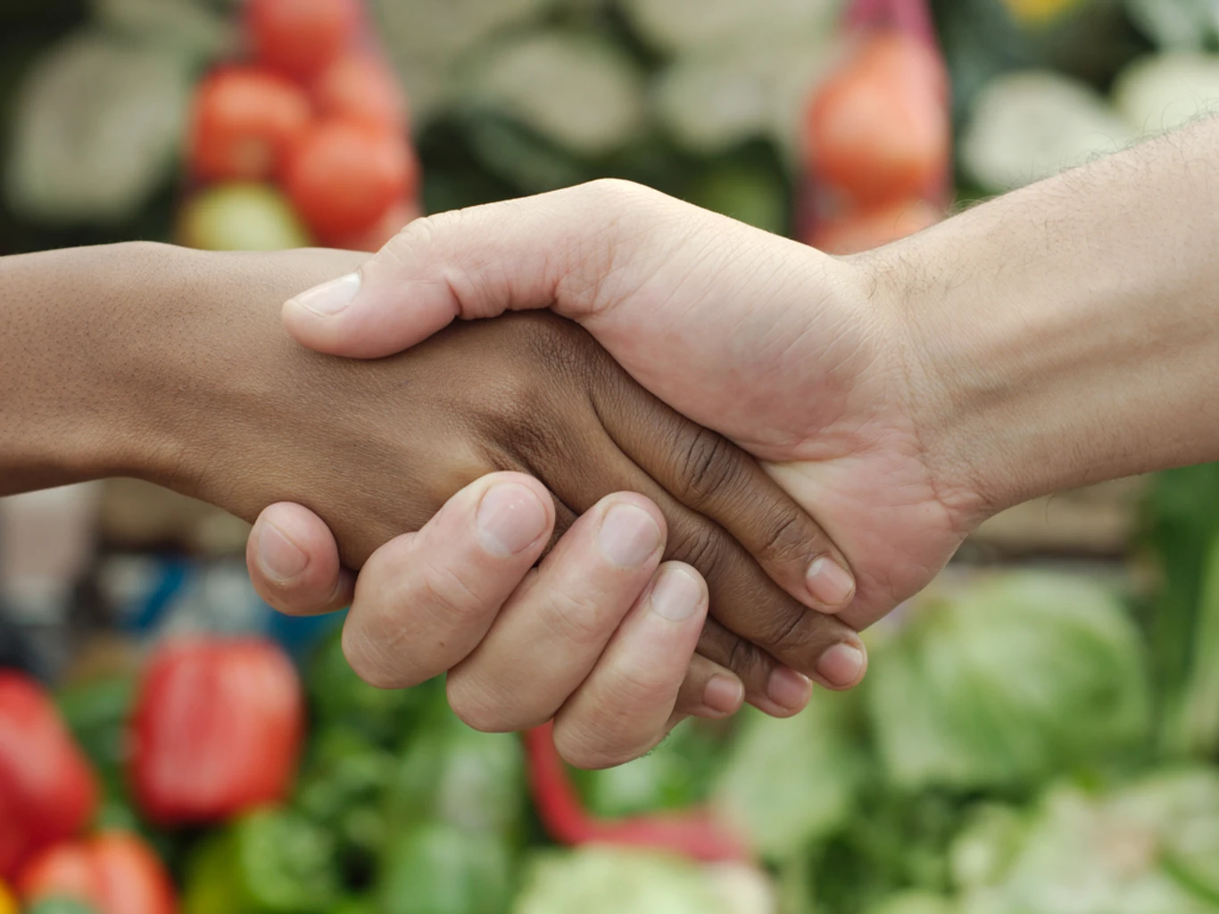 New app uplifts informal traders | JustMoney New app uplifts informal traders | JustMoney